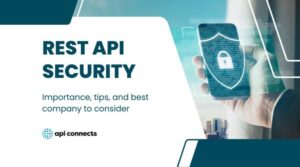 Rest API Security: Importance, Tips, and Best Company to Consider
